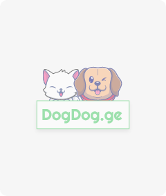 Dogdog.ge - მთავარი